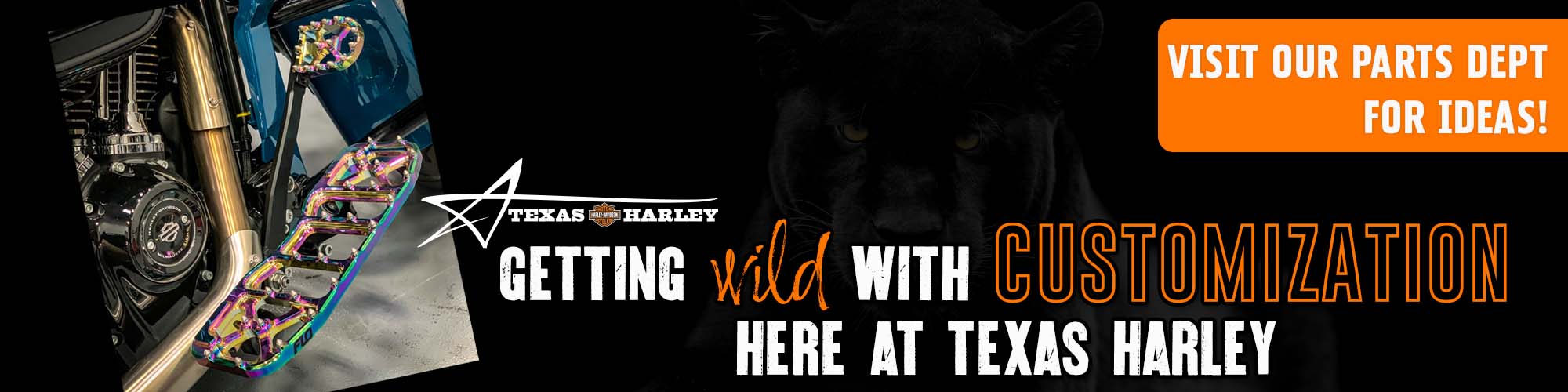 Official Harley-Davidson® dealer | Texas Harley-Davidson®