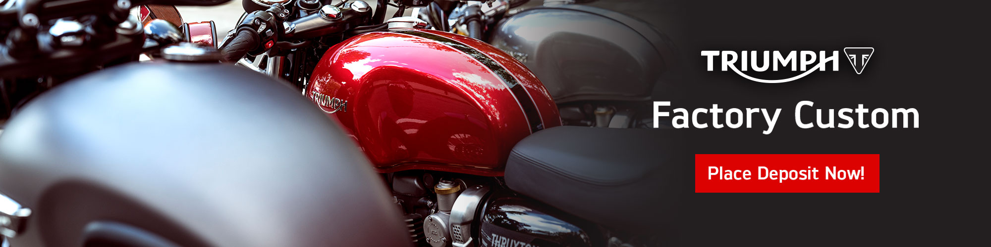 Custom Triumphs | Tampa Triumph