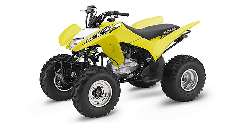 2018 Honda TRX® 250X at Sloans Motorcycle ATV, Murfreesboro, TN, 37129