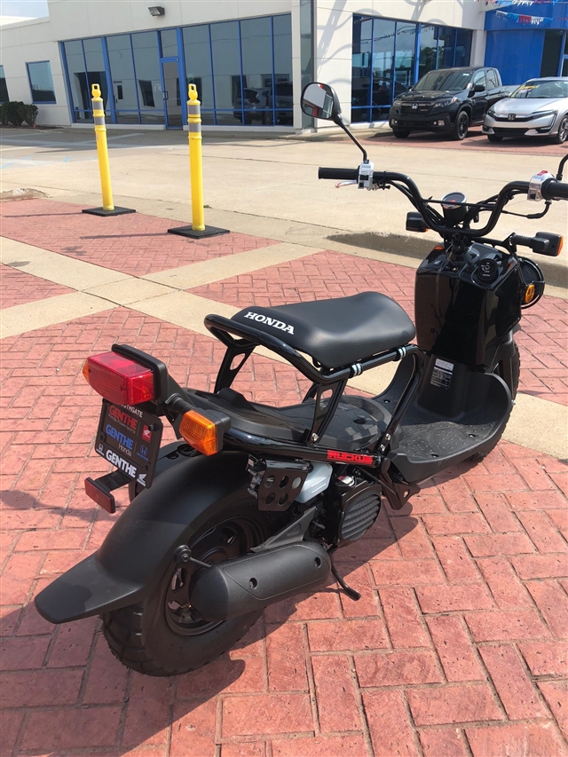 2019 Honda Ruckus | Genthe Honda Powersports