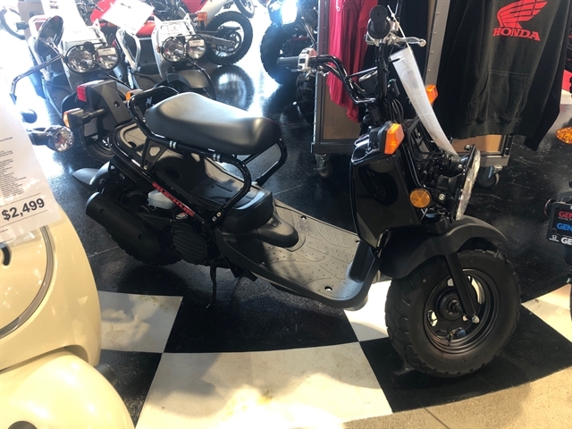 2019 Honda Ruckus | Genthe Honda Powersports